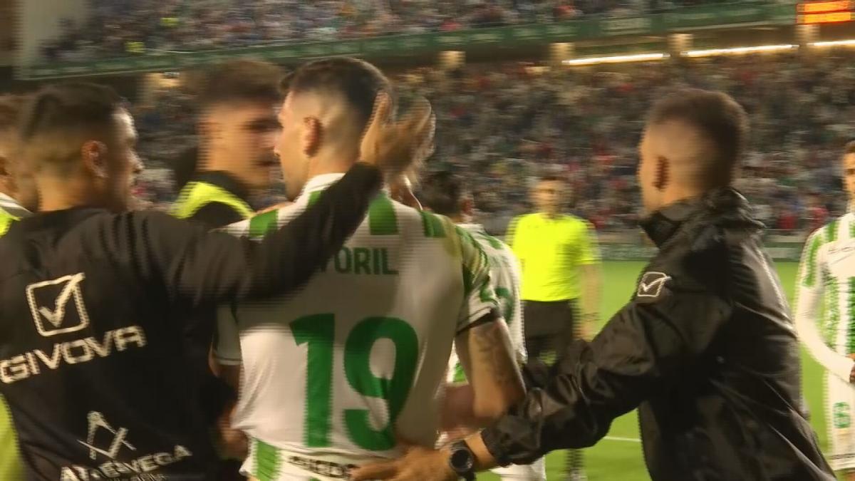 Alberto Toril desata la alegría del Córdoba con su gol ante el Recre