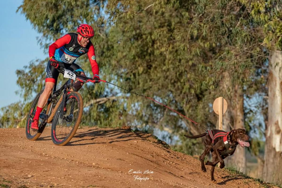 El Club DunHuellas, presente en el Campeonato de Europa de Mushing