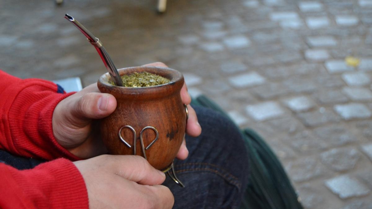 ¿Qué beneficios tiene el mate para los deportistas?